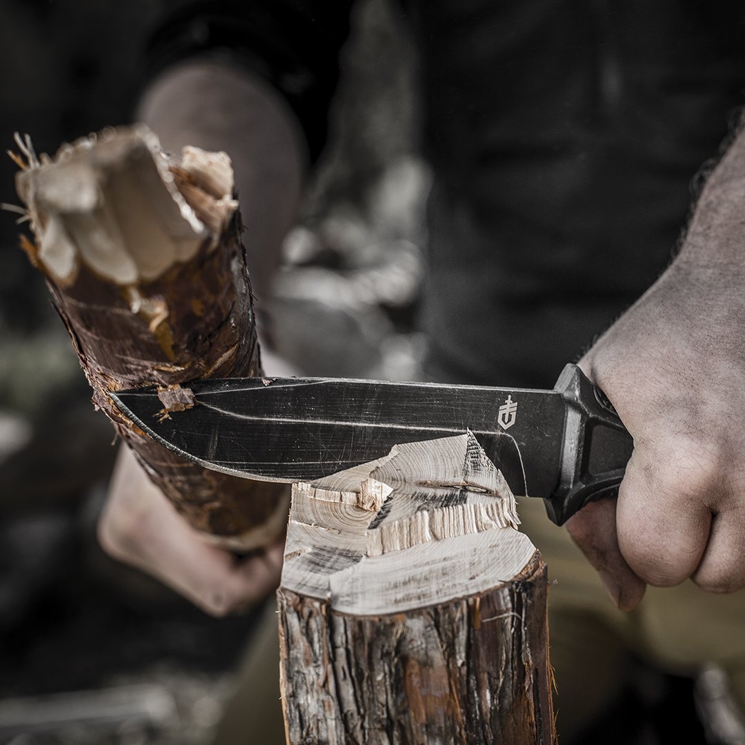 Colecciones – Gerber México